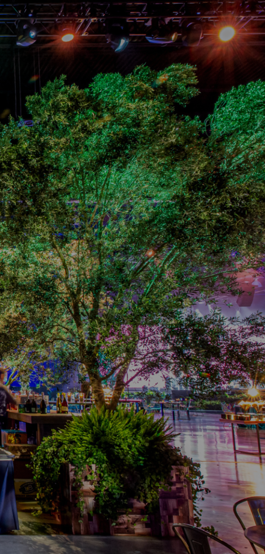 Event Design and Décor Company in Chicago - Kehoe Designs